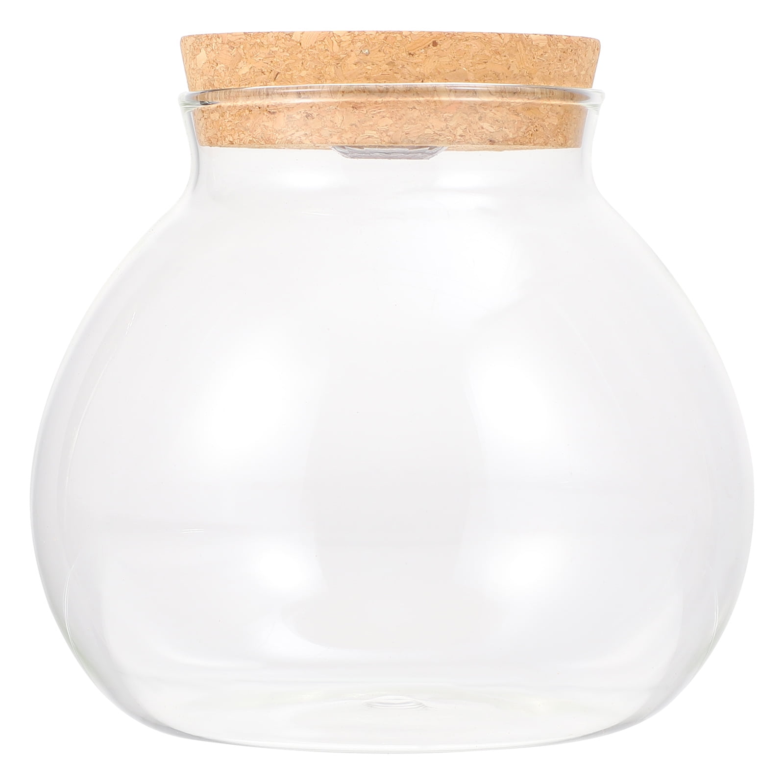 Abbageba Glass Terrarium Container with LED Light 14X13X13cm - Walmart.com