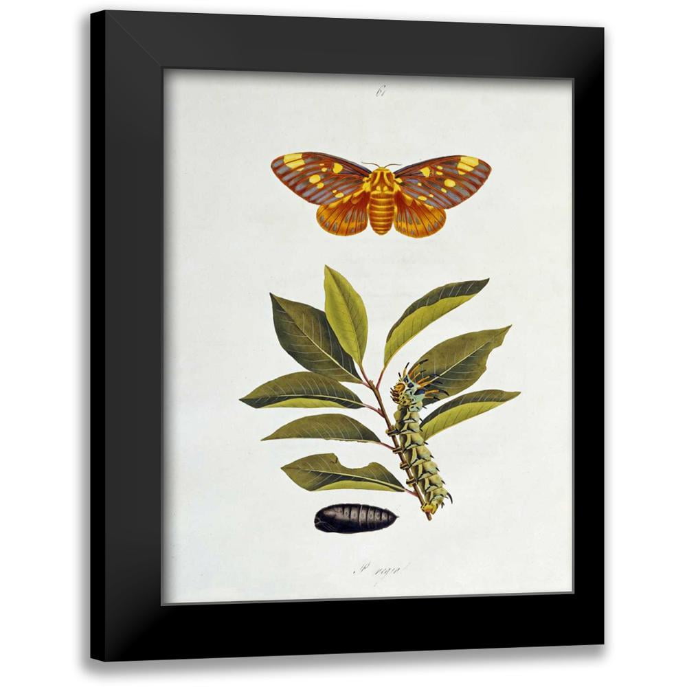 Abbot, John 12x14 Black Modern Framed Museum Art Print Titled - The ...