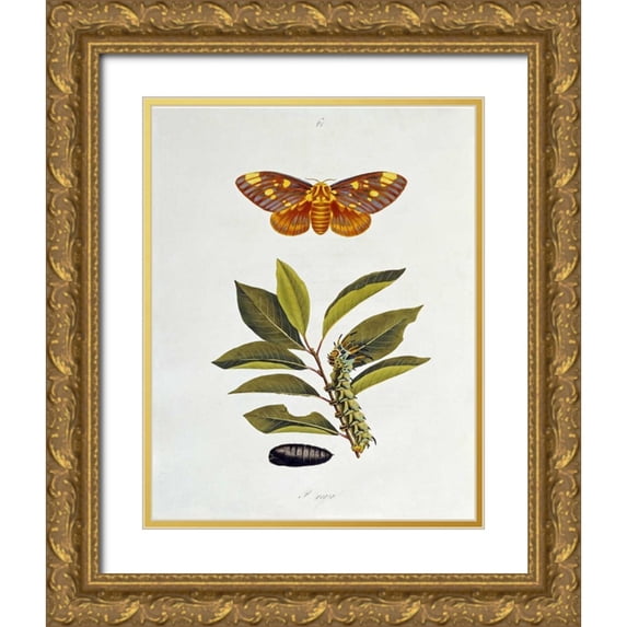 Abbot, John 26x32 Gold Ornate Wood Framed with Double Matting Museum ...