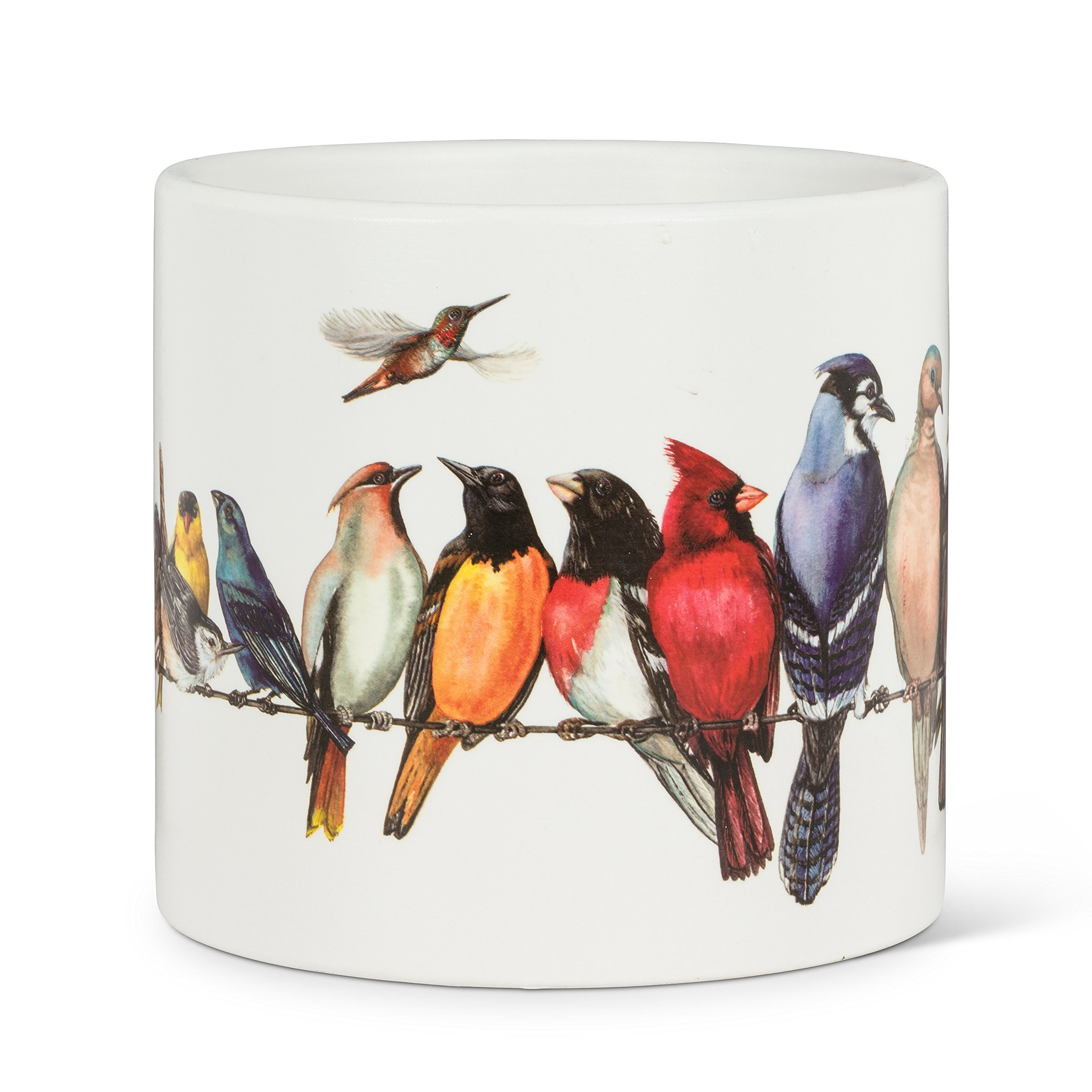 Abbott Collection 27-PARADE/085 LG Planter, 1 EA, Birds on Wire, Large ...