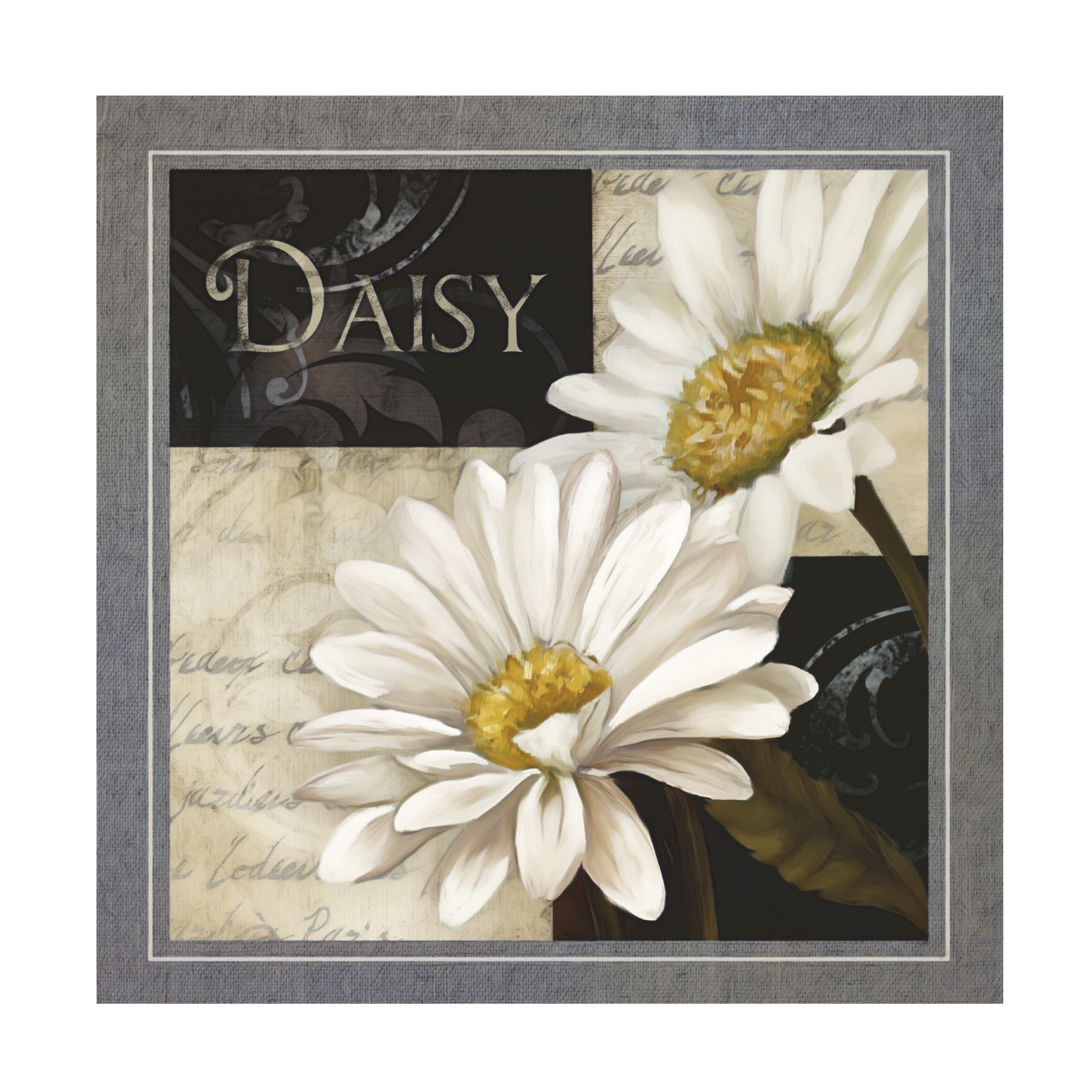 Abby White 'Flowers on Black and White III' Canvas Art - Walmart.com