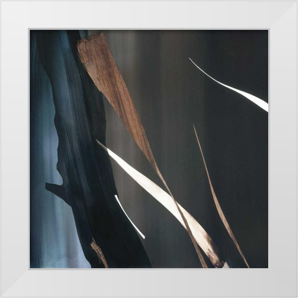 Abellan, Lola 20x20 White Modern Wood Framed Museum Art Print Titled ...