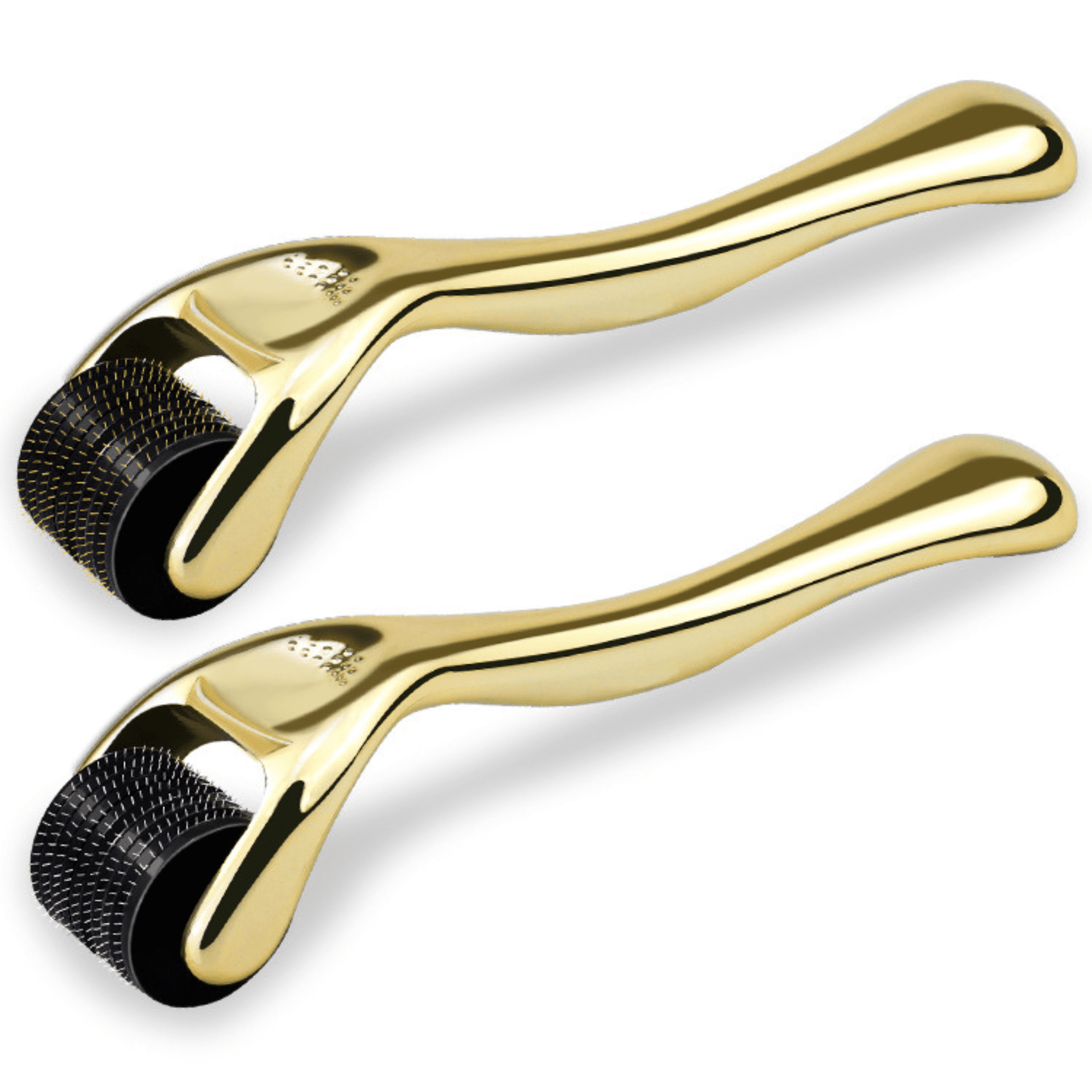 Abera Premium 2-Piece Derma Roller for Hair Growth with Microneedling Roller for Scalp & Beard ...