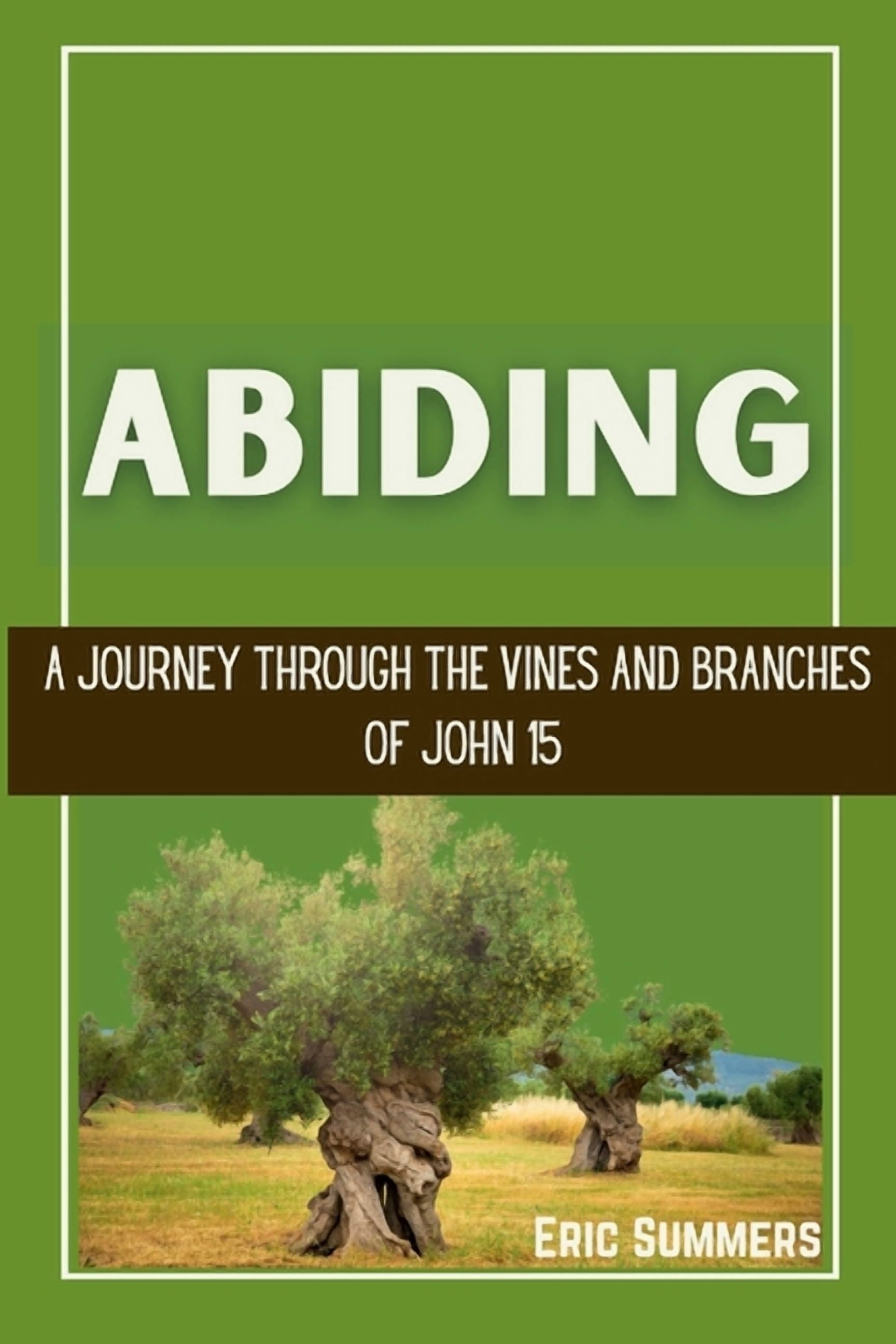 Abiding: A Journey Through the Vines and Branches of John 15 ...