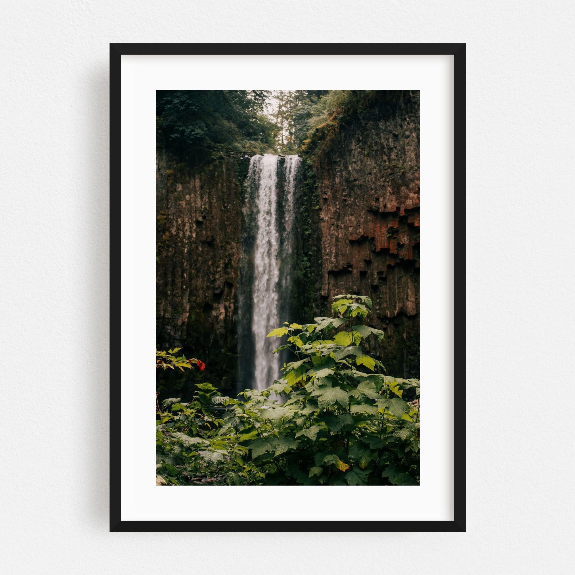 Abiqua Falls - Oregon Photography Waterfall Nature Forest Scenic ...