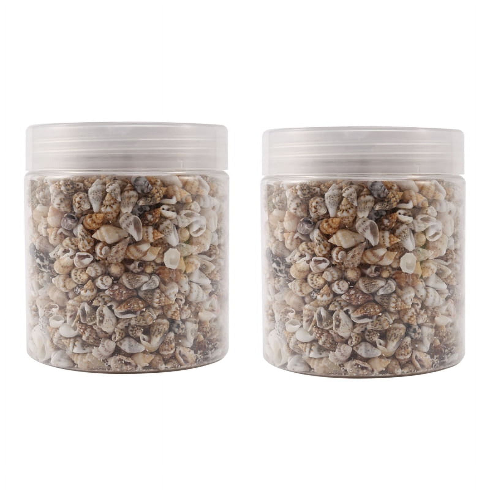 About 2600-3000 Tiny Sea Shell Ocean Beach Spiral Seashells Craft Charms 7-12mm for Candle ...