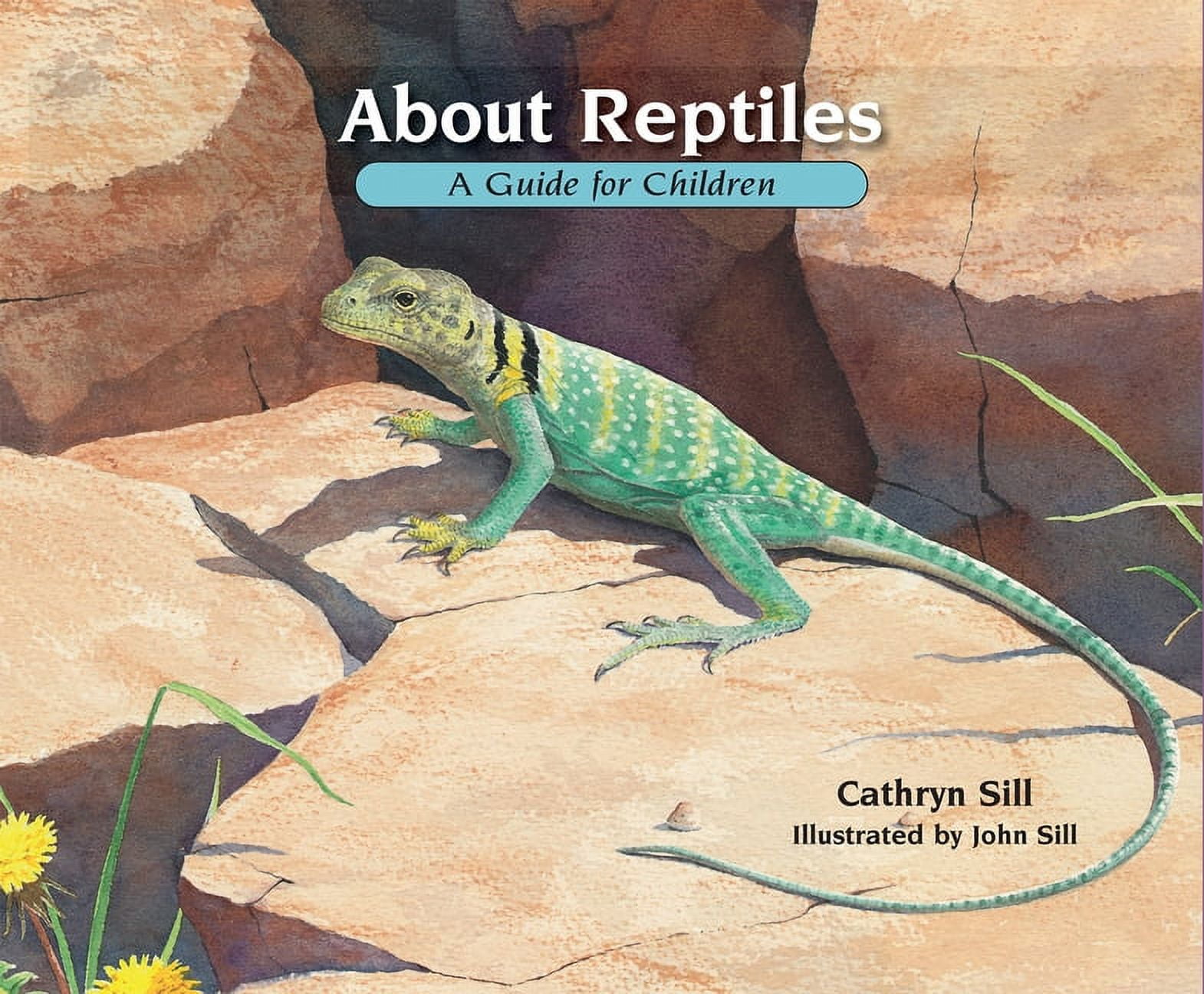 About. . . About Reptiles: A Guide for Children (Educational Science ...