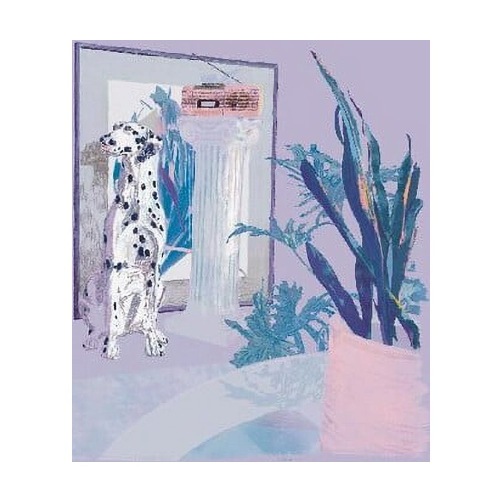 Abracadabra - Shapes & Colors - Music & Performance - Vinyl - Walmart.com