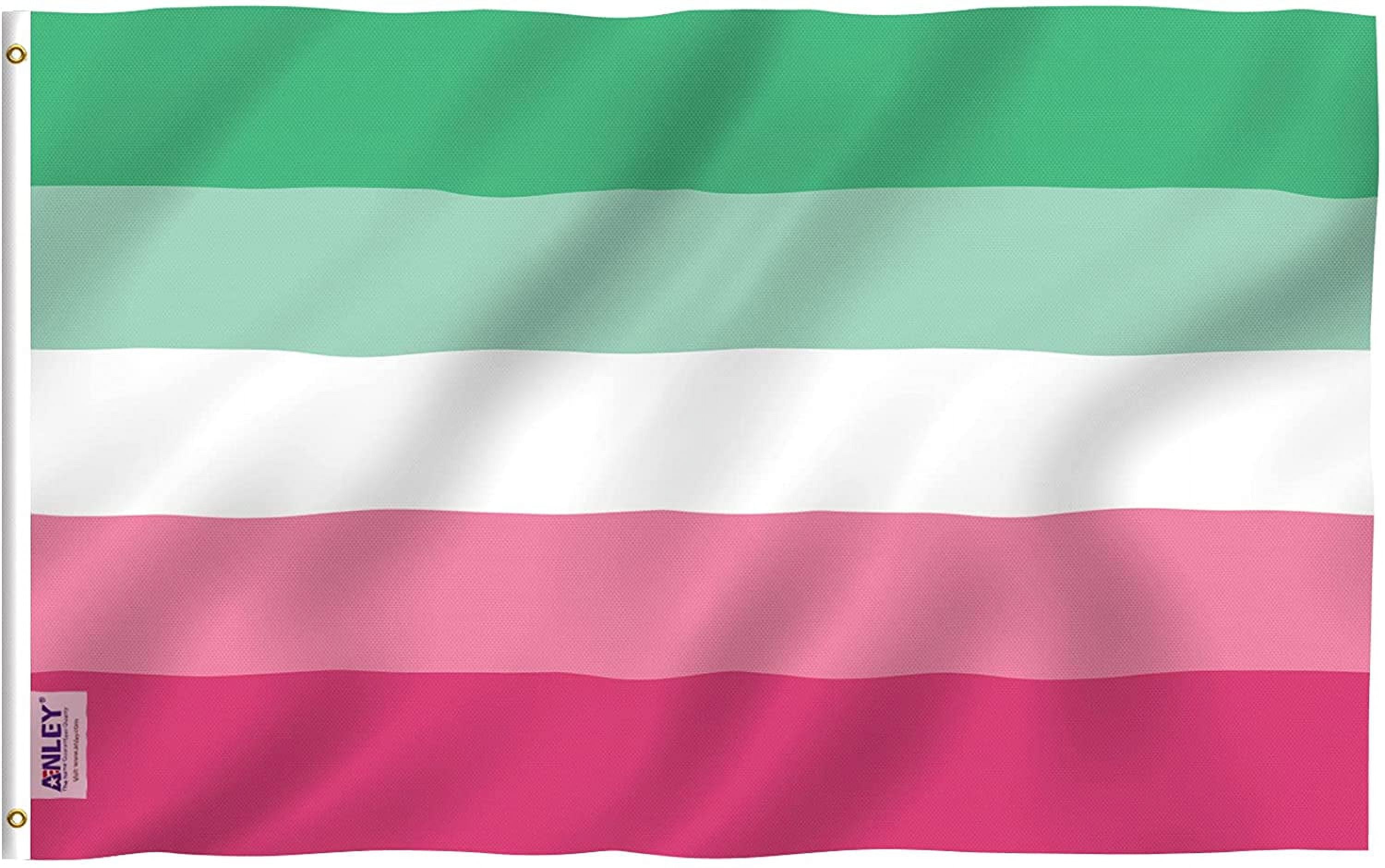 Abrosexual Pride Flag Vivid Color And Fade Proof Abrosexuality Lgbt Flags With Brass