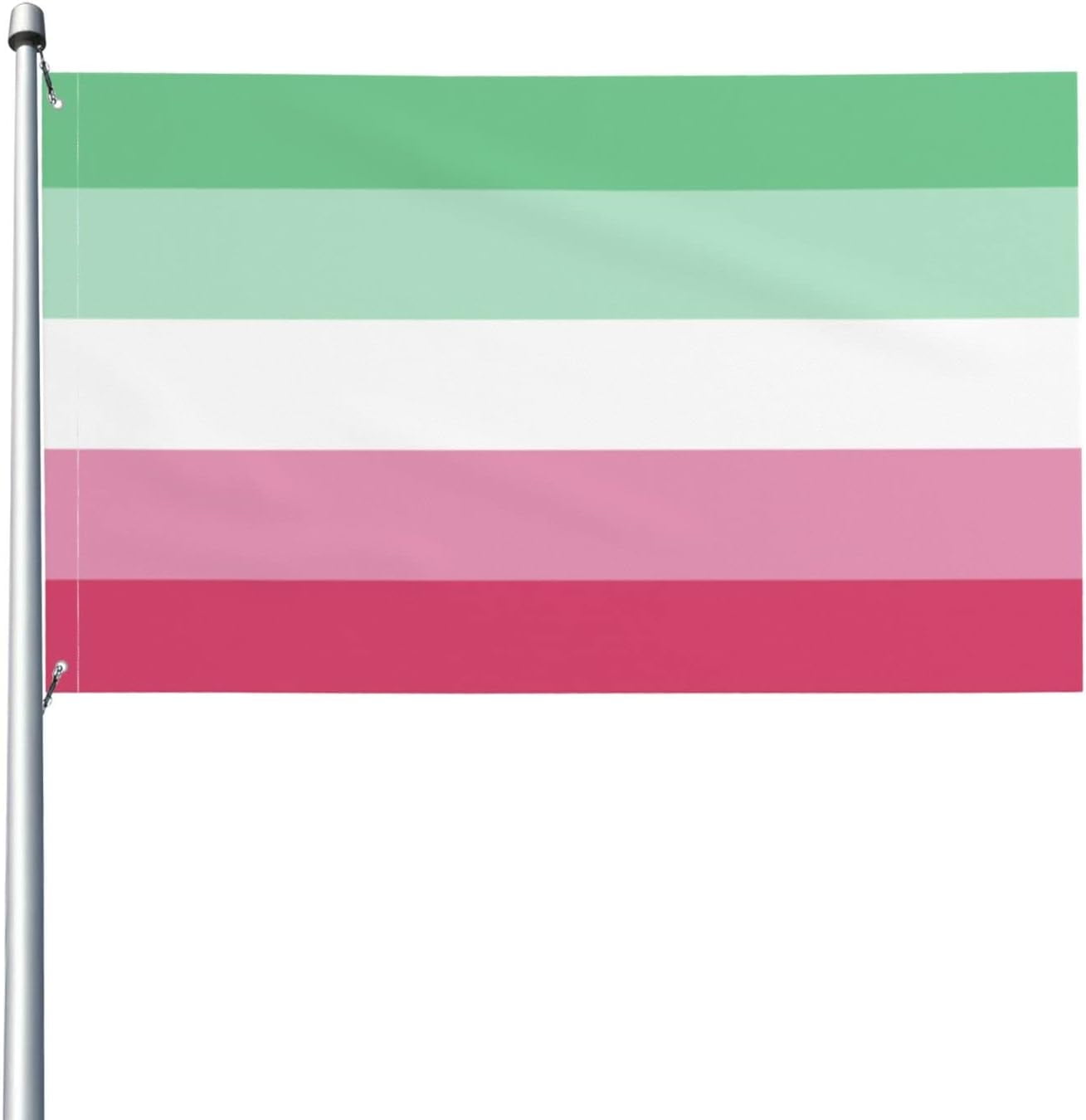 Abrosexual Pride Flag Welcome Party Outdoor Outside Decorations Picks ...