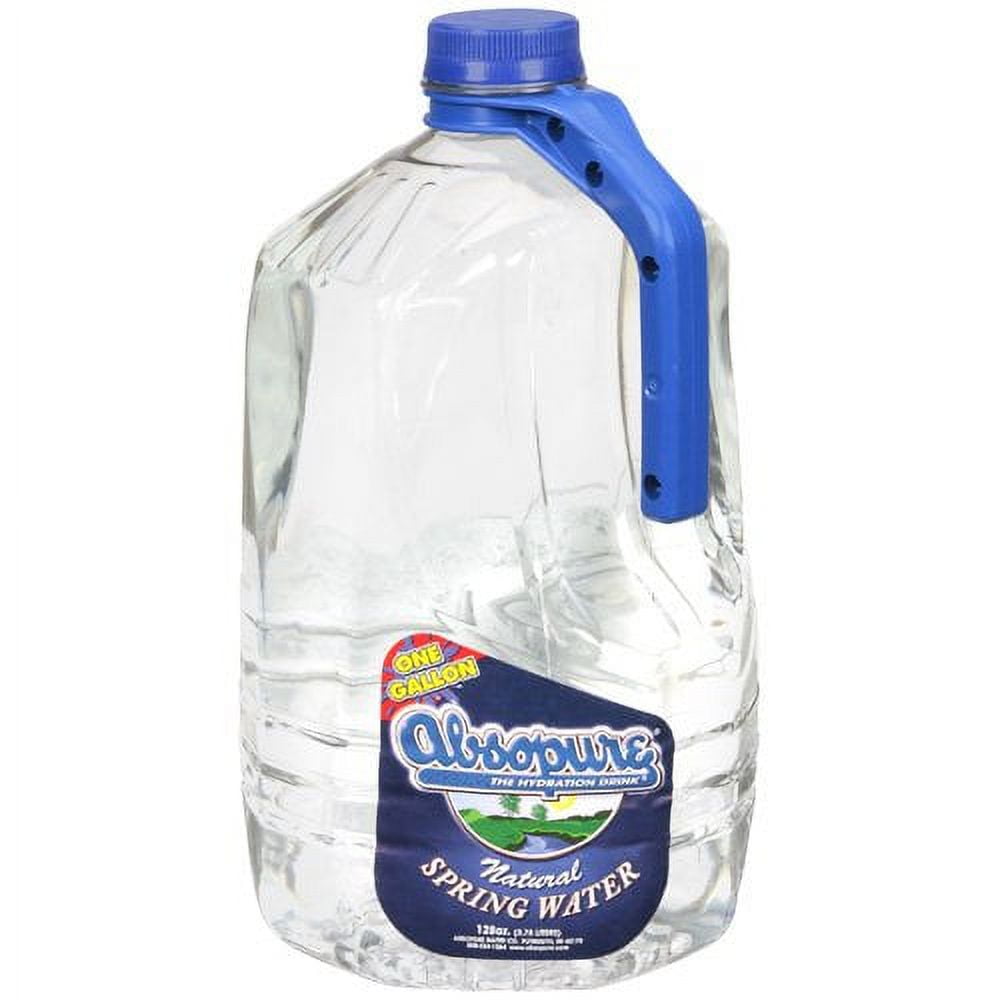 Absopure Natural Spring Water, 1 Gallon - Walmart.com