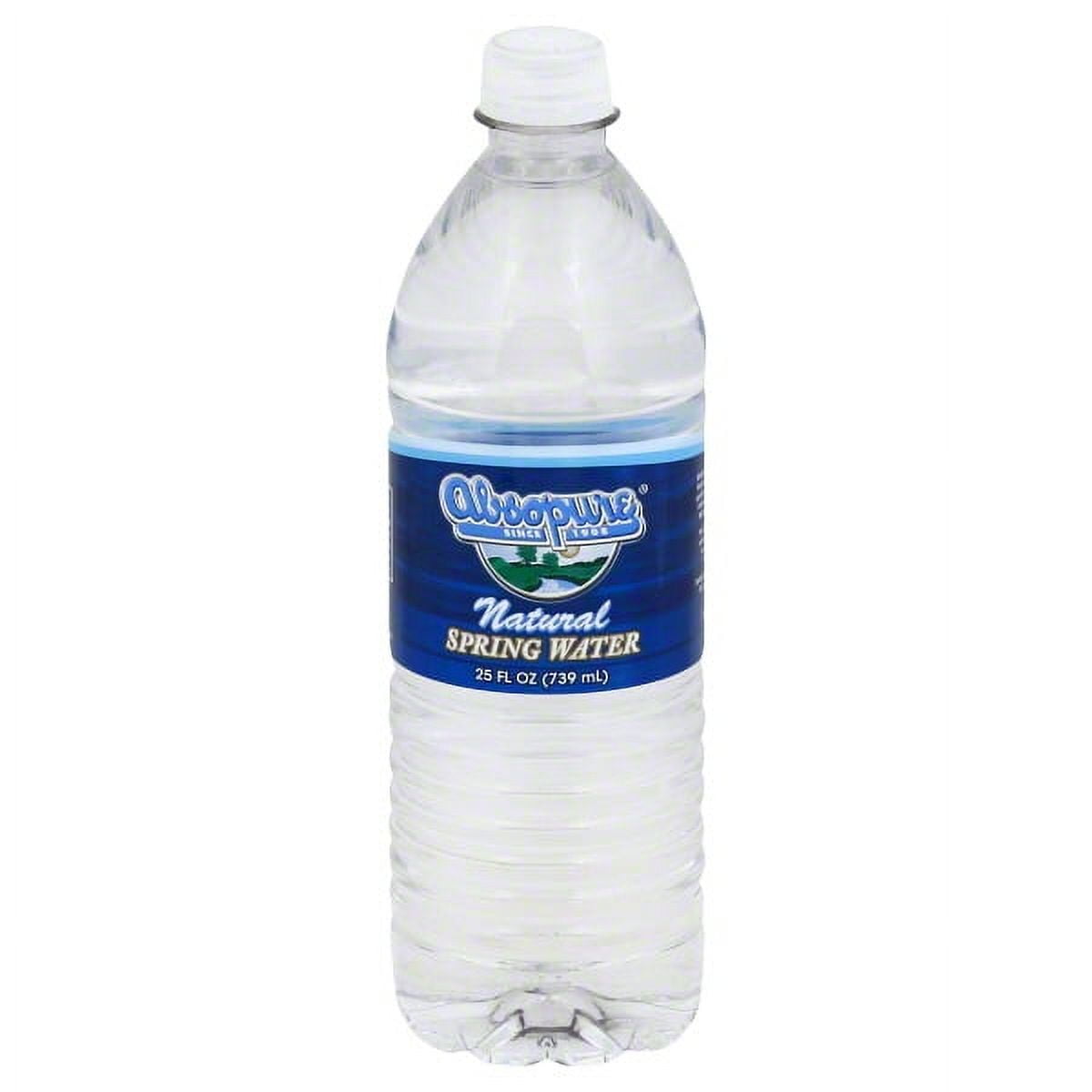 Absopure Water Absopure Water, 25 oz - Walmart.com