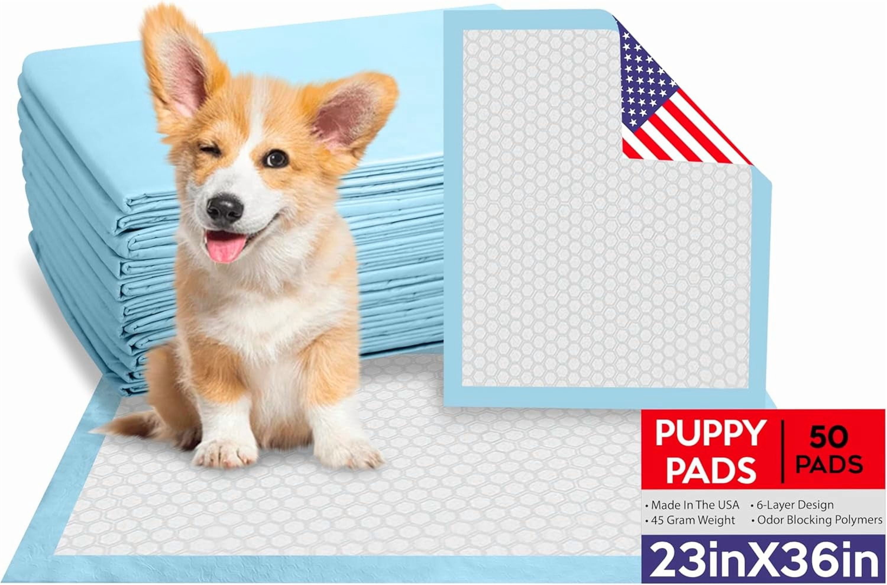 AbsorbEase® Large Puppy Pee Pads 23