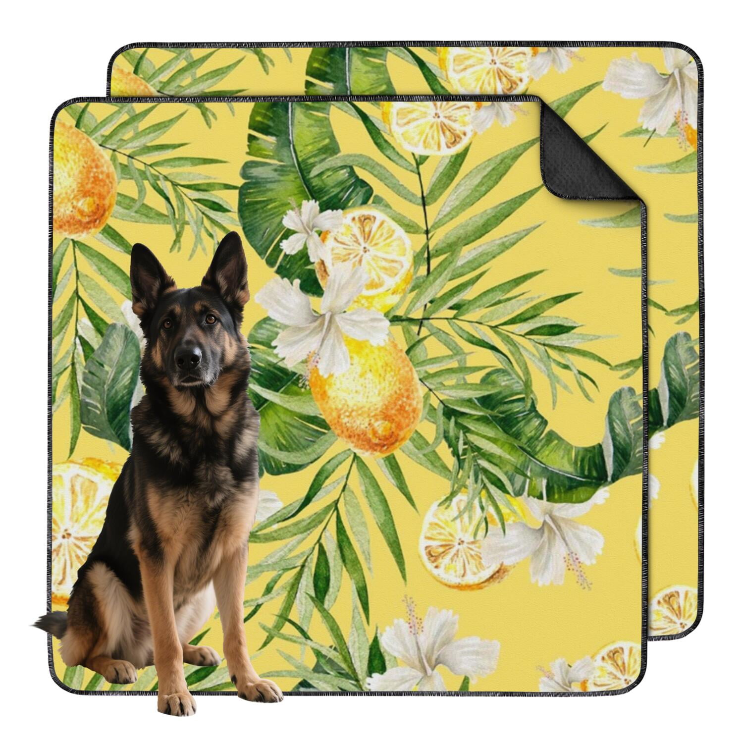 Absorbent Crate Pads for Dogs Featuring Tropical Paradise Scenery ...