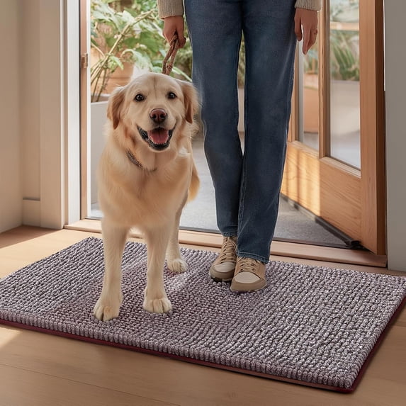 Absorbent Door Mat for Muddy Paws 48x30 Inch Indoor, Front Doormat ...