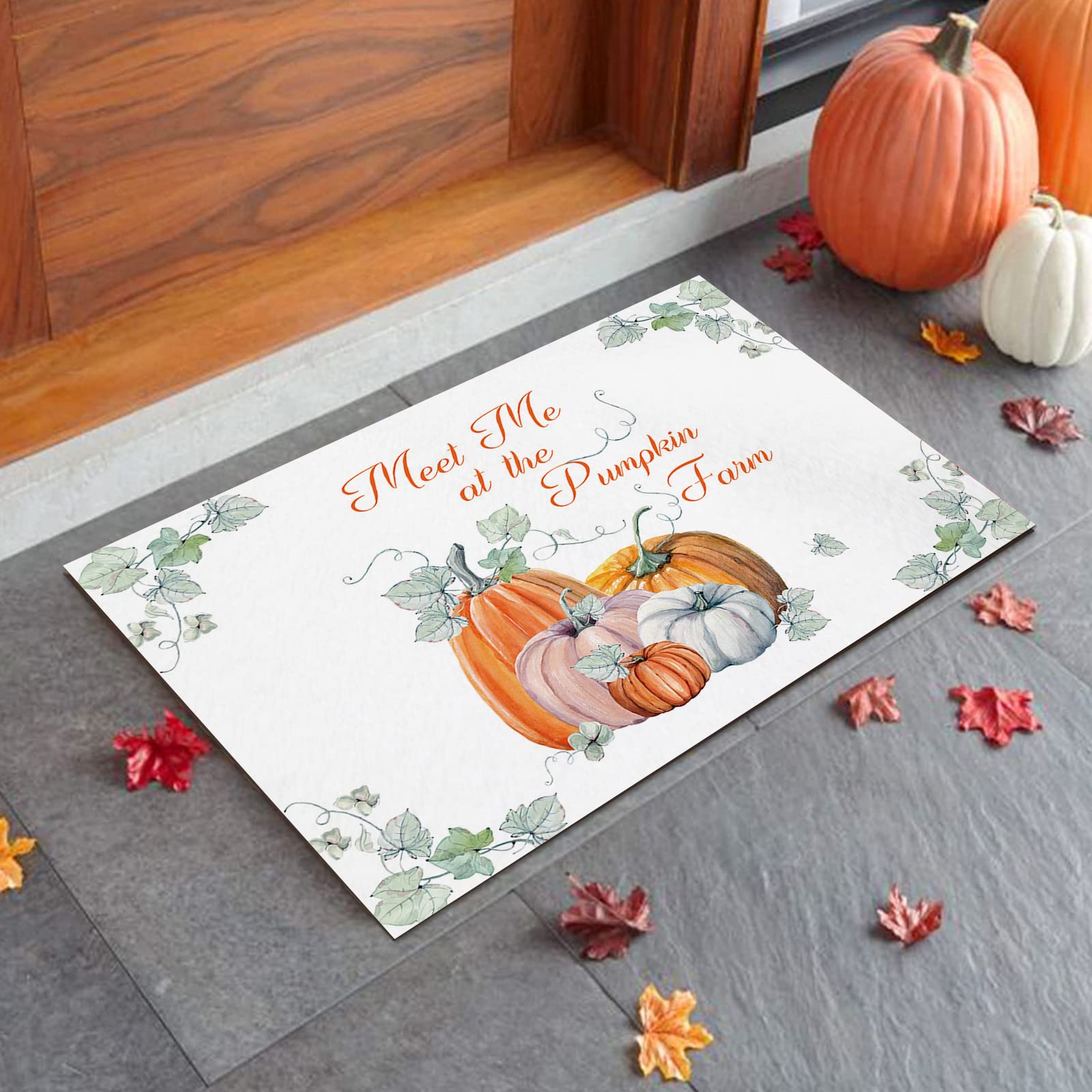 Absorbent Door Mat, Non Slip Floor Mats Low-Profile Small Rugs for ...