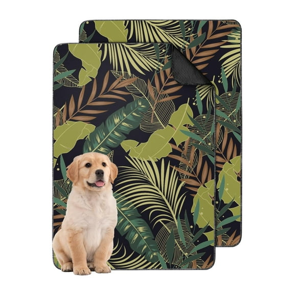 Absorbent and Washable House Training Pads for Dogs, Features a Dense ...