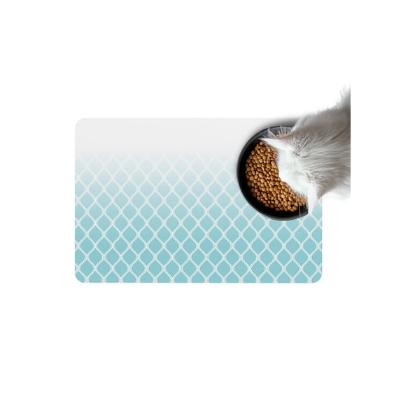 Abstract Art Doormat Non Slip Diatomaceous Earth Door Mat Absorbent ...