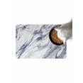 Abstract Art Doormat Non Slip Diatomaceous Earth Door Mat Absorbent ...