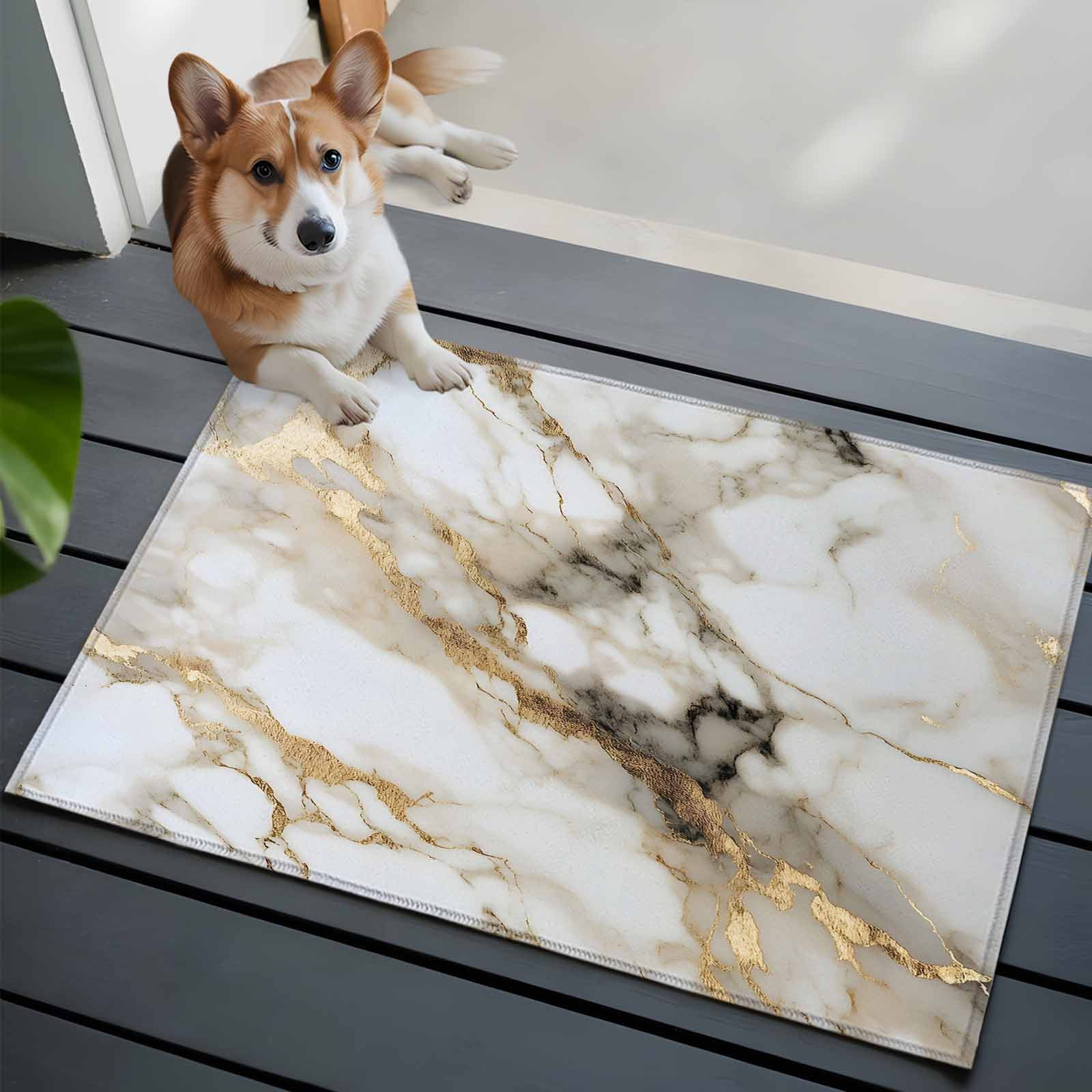 Abstract Art Front Door Rugs 2x3 ft White Marble Texture Gold Crack ...