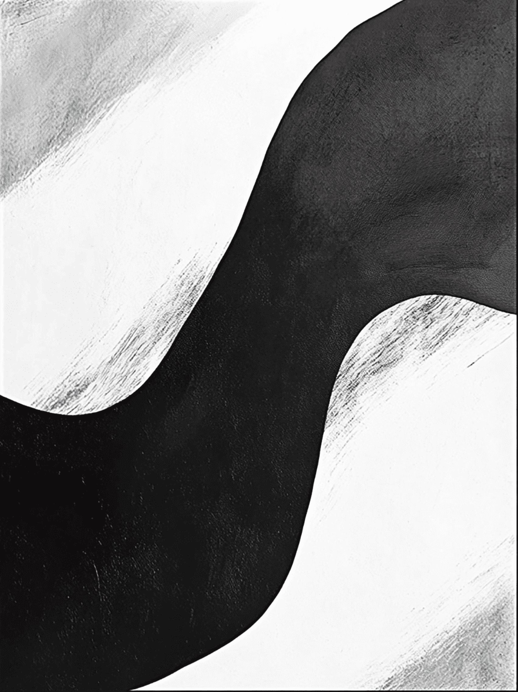 Abstract Black and White Wave Decorative Painting/Canvas Art， Suitable ...