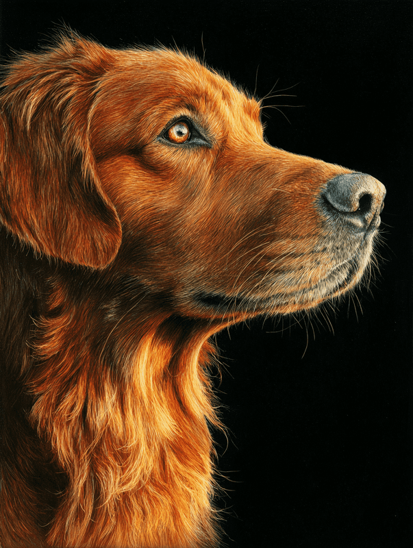 Abstract Colorful Dog Portrait Canvas Wall Art，Modern Pet Decor for ...