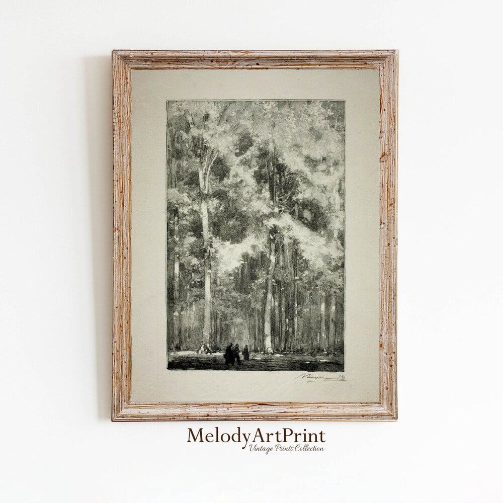 Abstract Forest Landscape Sketch Drawing Vintage Natural Tree Picture ...