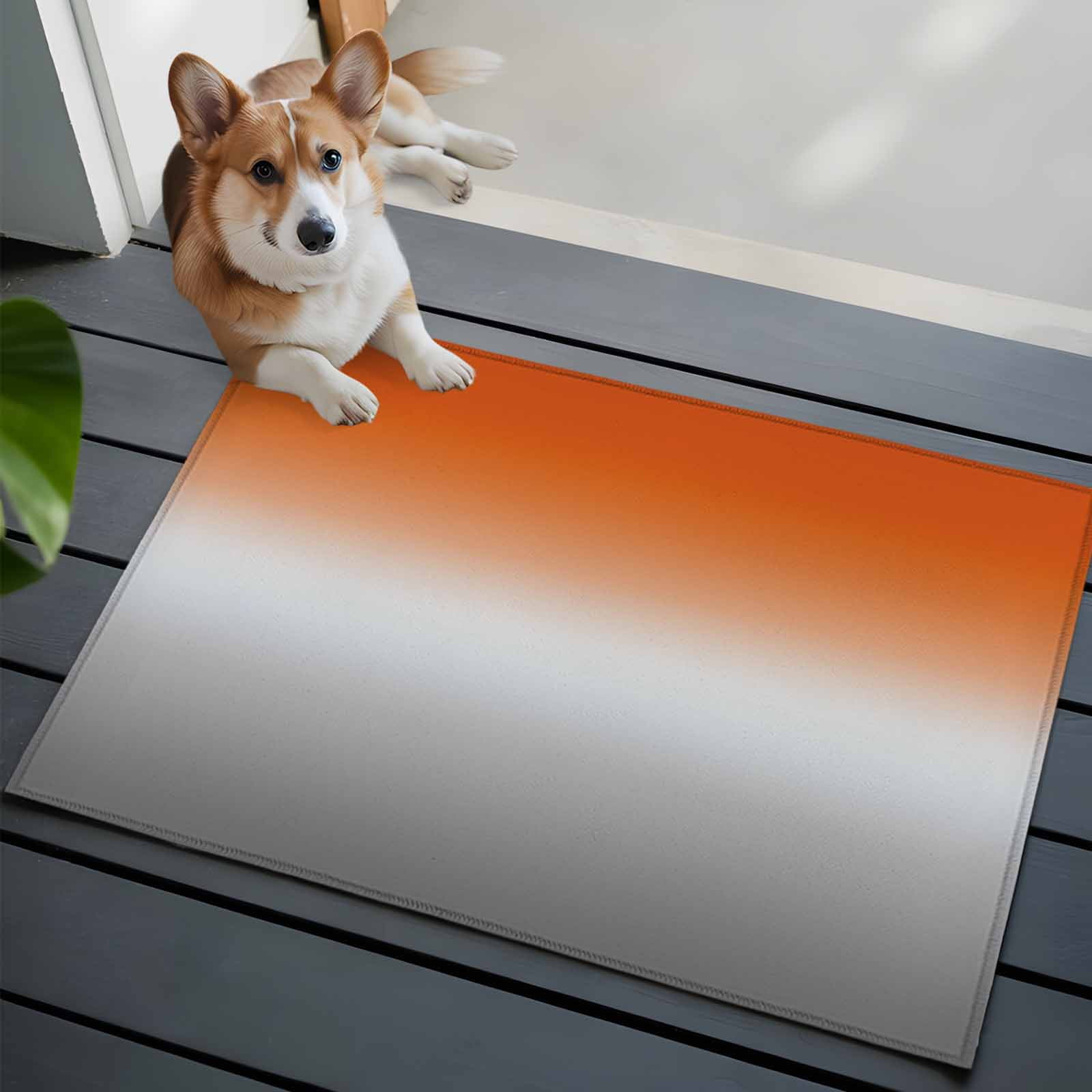 Abstract Front Door Rugs 2x3 ft Orange Grey Gradient Modern Art Small ...
