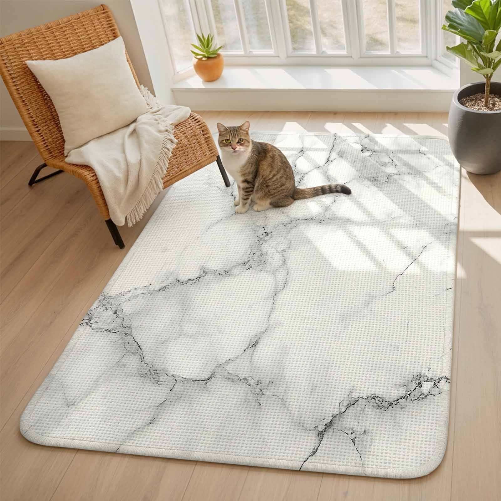Abstract Marble Area Rugs for Living Room 5x6, Minimalist Art Back ...