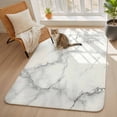 Abstract Marble Area Rugs for Living Room 5x6, Minimalist Art Back ...