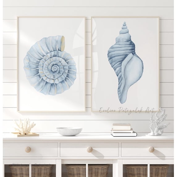 Abstract Minimalist Shell Ammonite Conch Coastal Beach Decor Set 2 ...