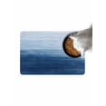 Abstract Ocean Doormat Non Slip Diatomaceous Earth Door Mat Absorbent ...