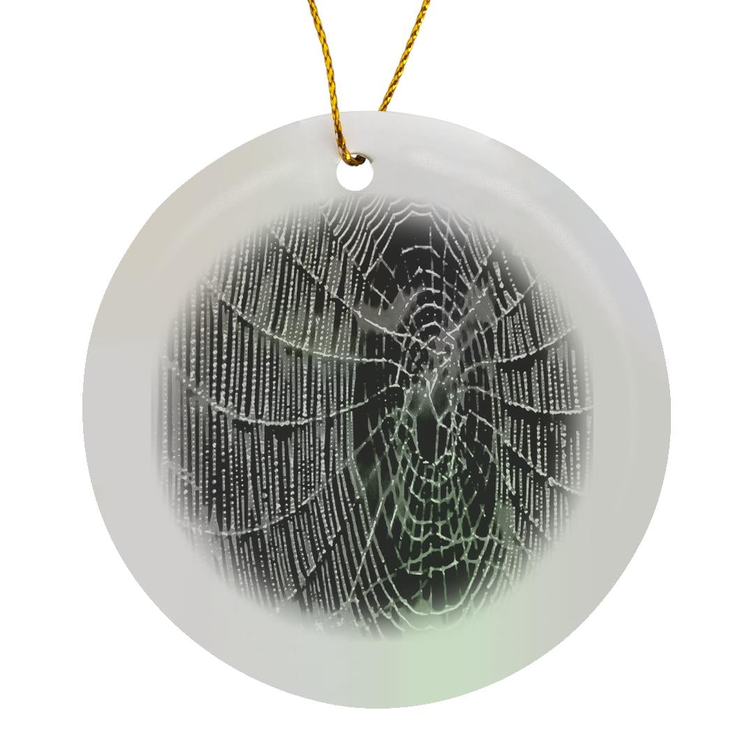 3drose, Abstract Painting of a Grey White Cobweb on Black, Circle ...