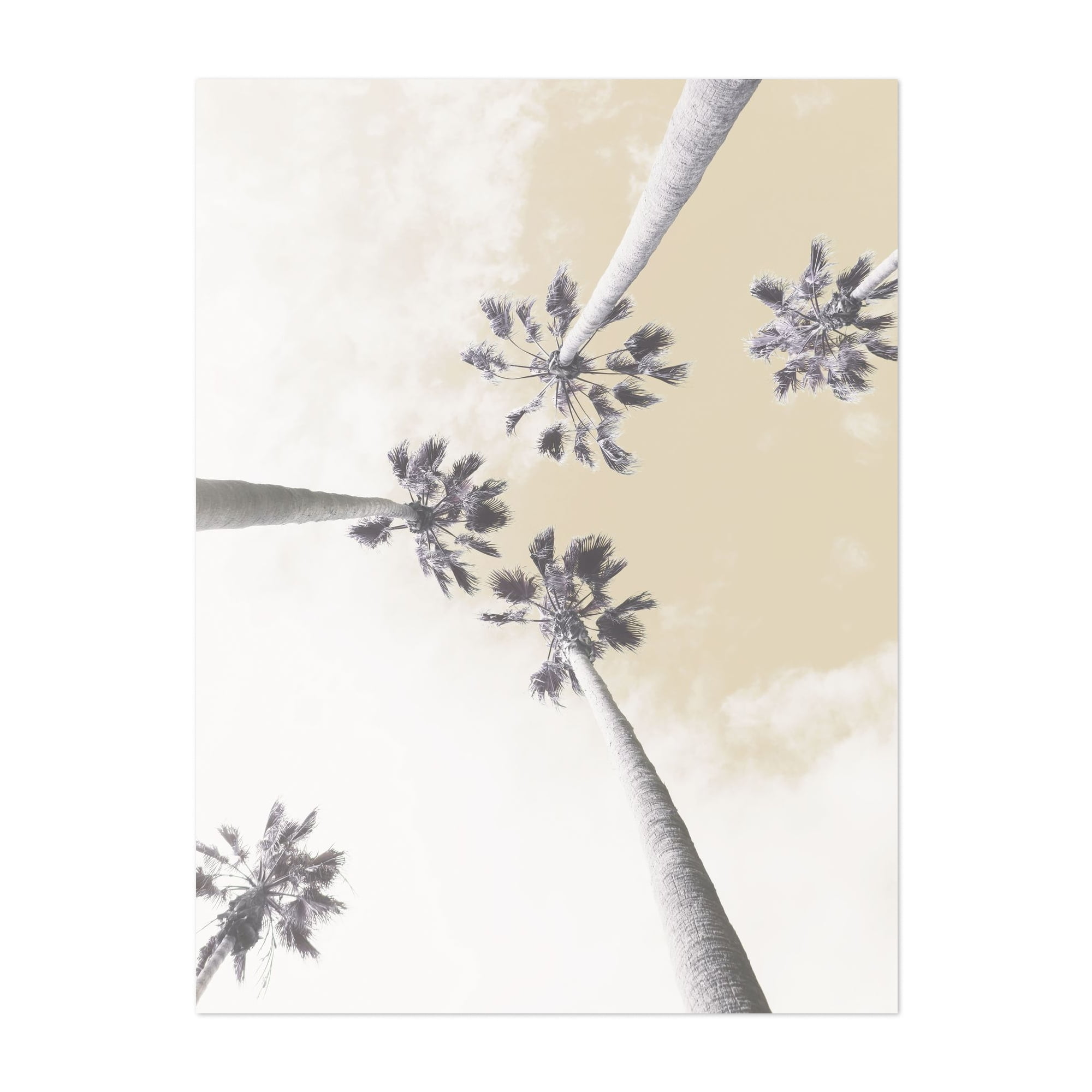 Abstract Palm Trees - California Photography Palm Tree Minimalist ...