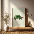 Abstract Turtle Illustration Modern Animal Wall Art, Stretched Canvas ...