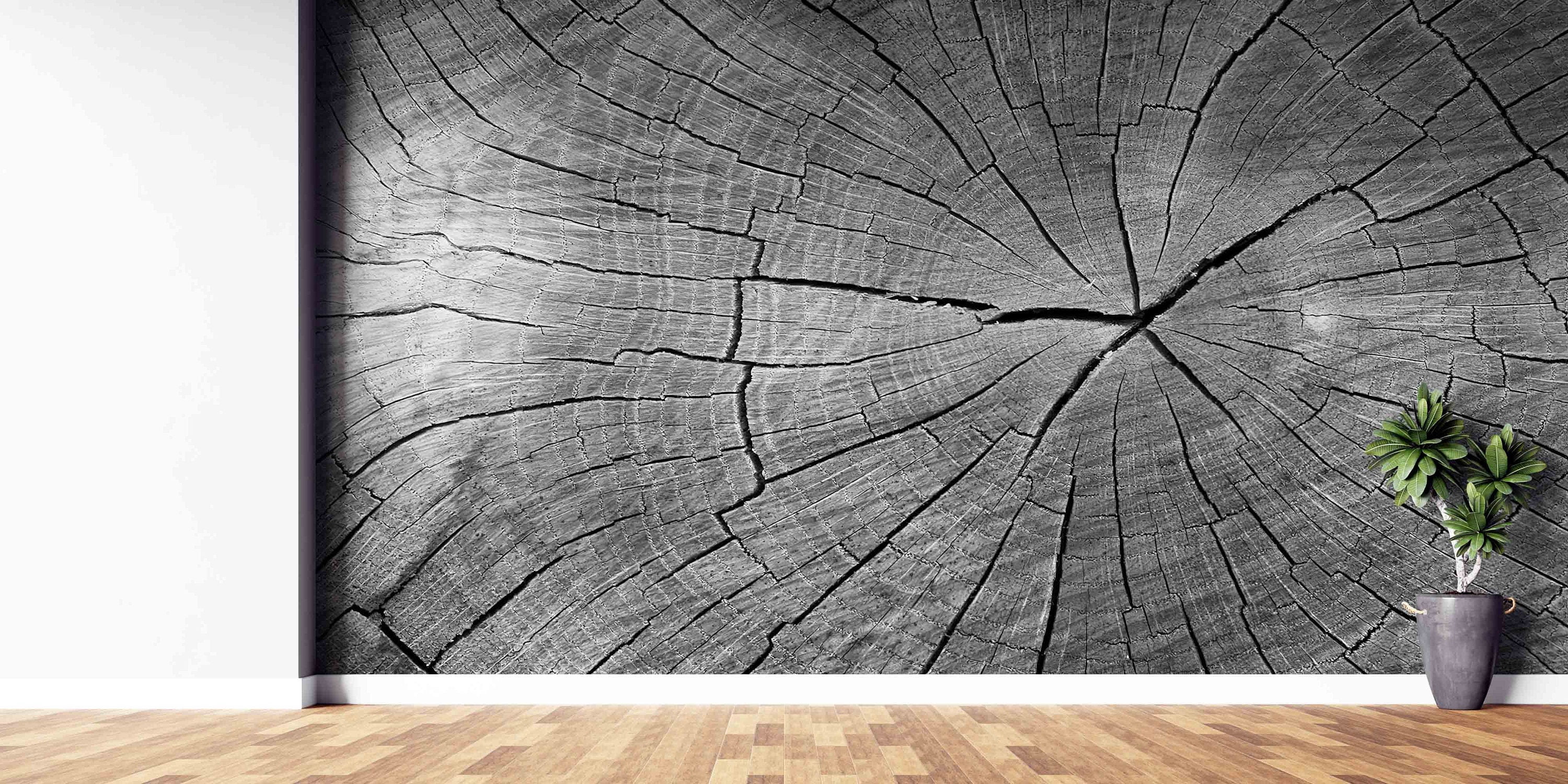 Abstract Wall Mural, Wood Crack Wall Mural, Wood, Custom Wallpaper ...