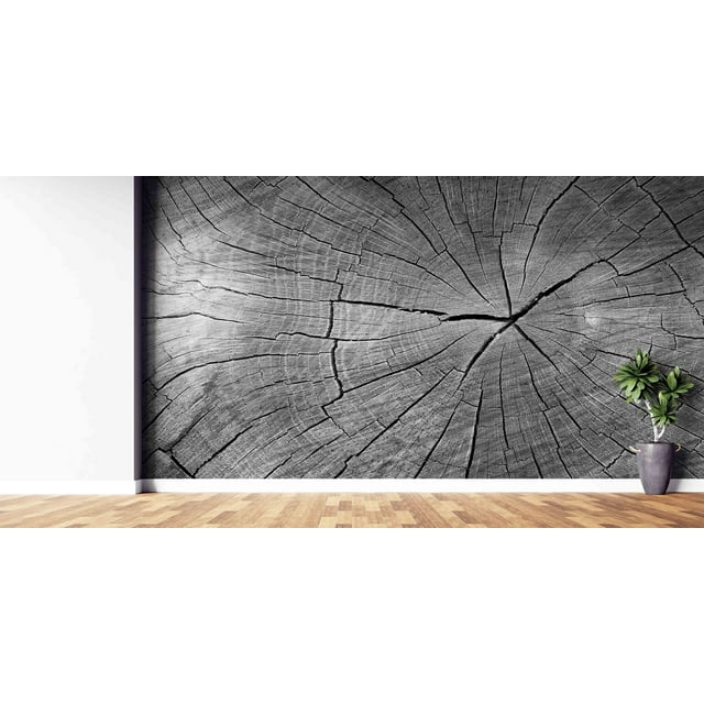 Abstract Wall Mural, Wood Crack Wall Mural, Wood, Custom Wallpaper ...