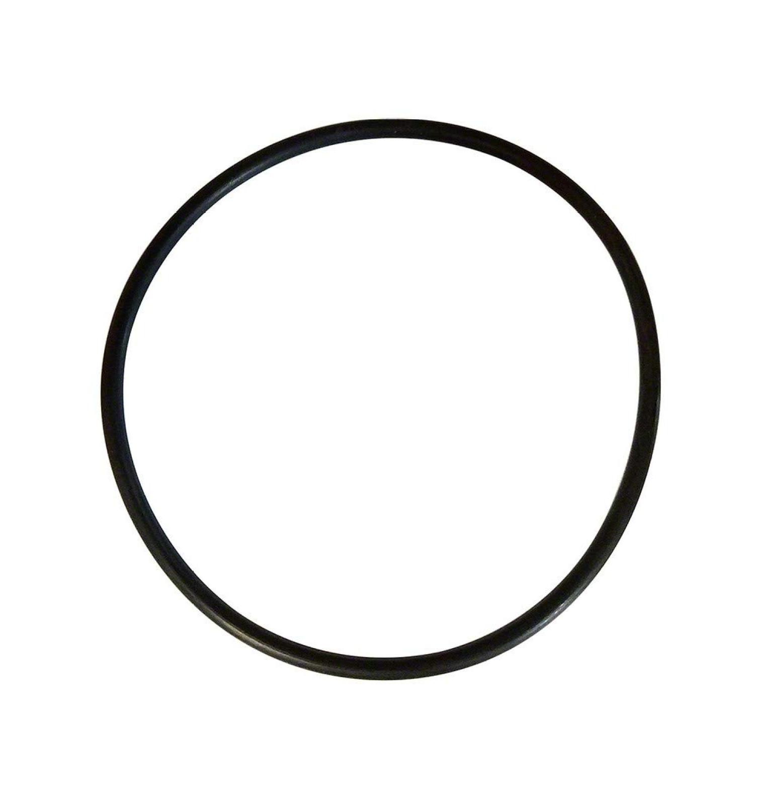 Abyss Canister Replacement O Ring 502004 - Walmart.com