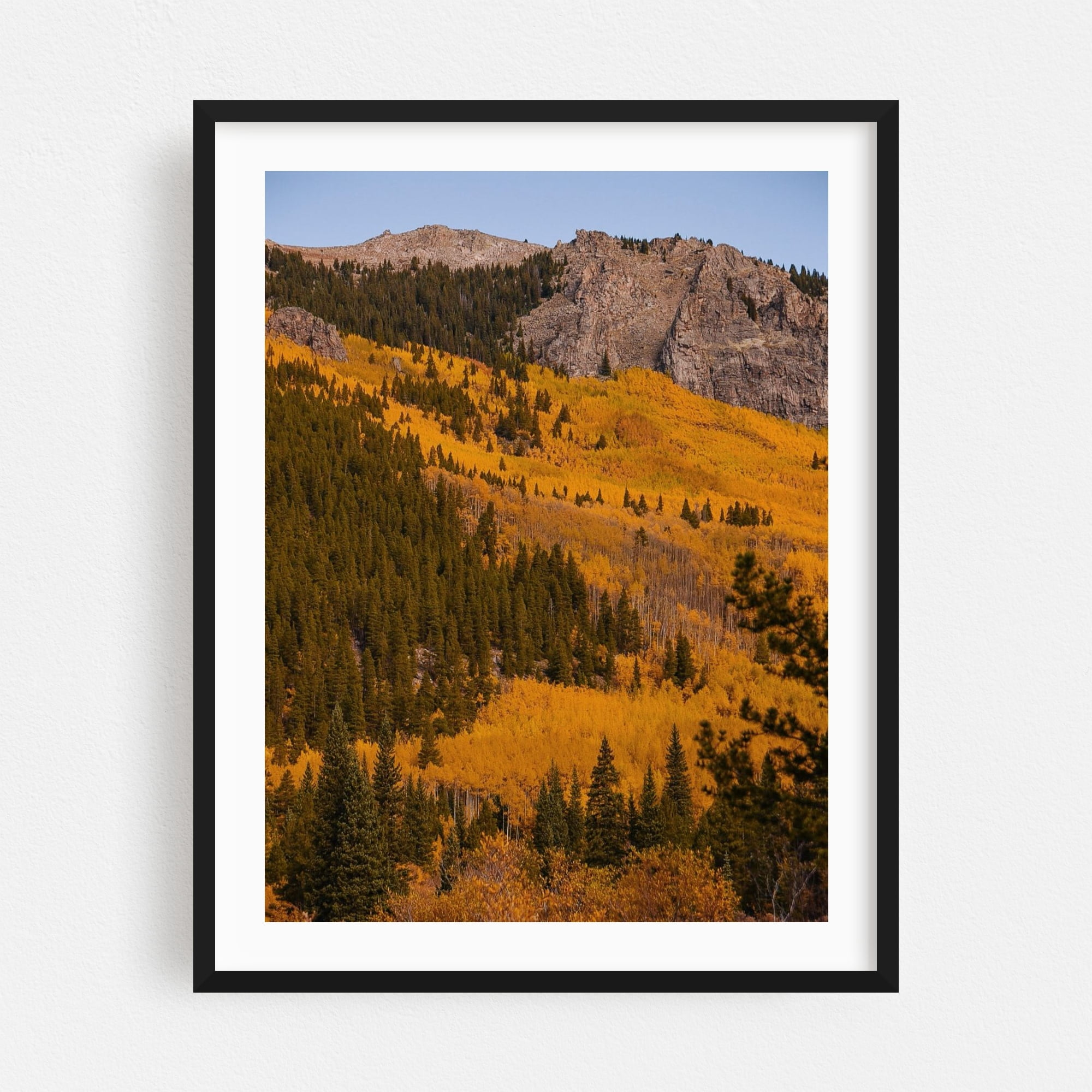 The Abyss Trail Hillside - Grant Colorado Photography Autumn Landscape ...