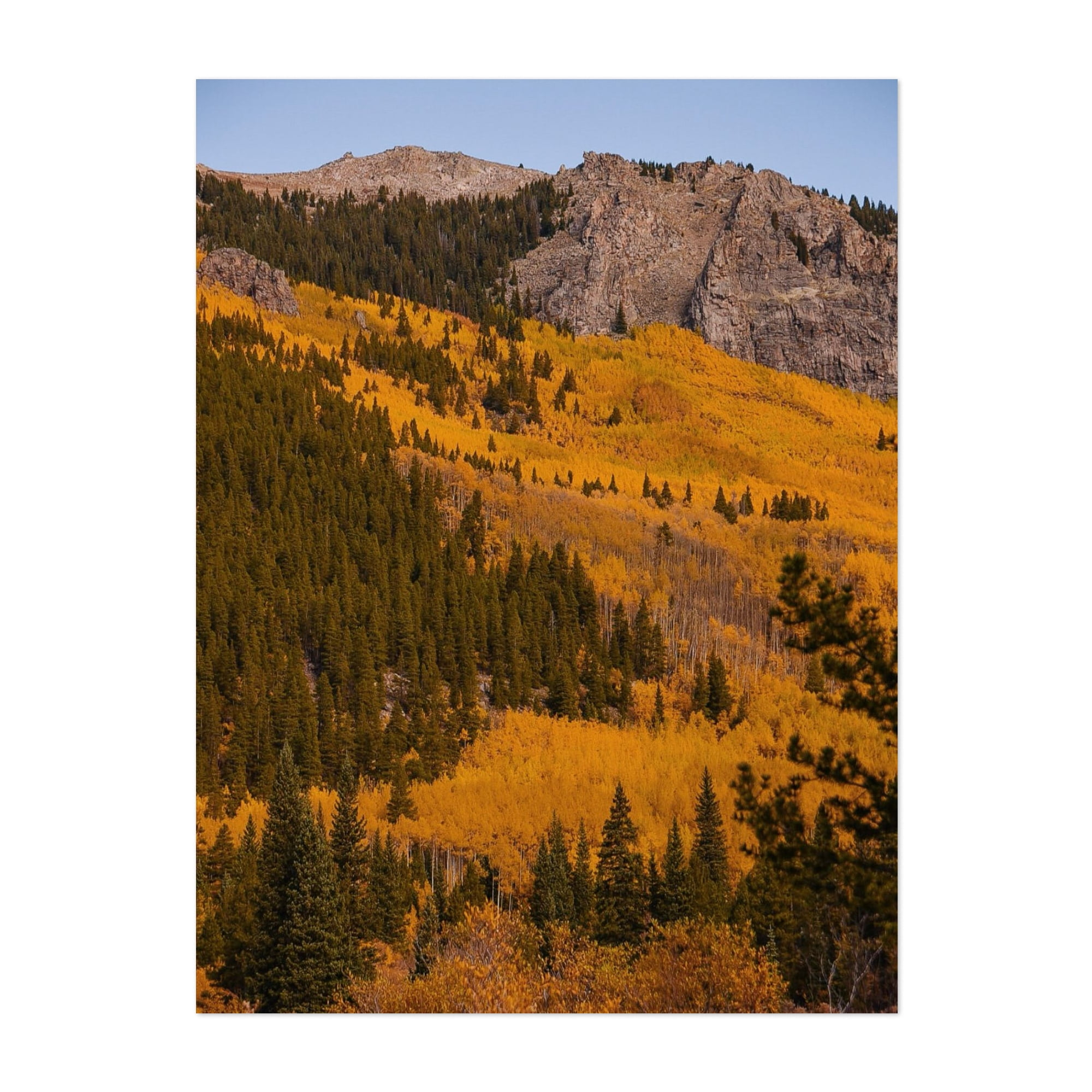 The Abyss Trail Hillside - Grant Colorado Photography Autumn Landscape ...