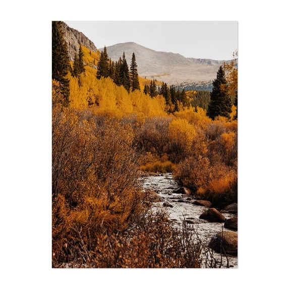 The Abyss Trail Stream II - Grant Colorado Photography Autumn Landscape ...