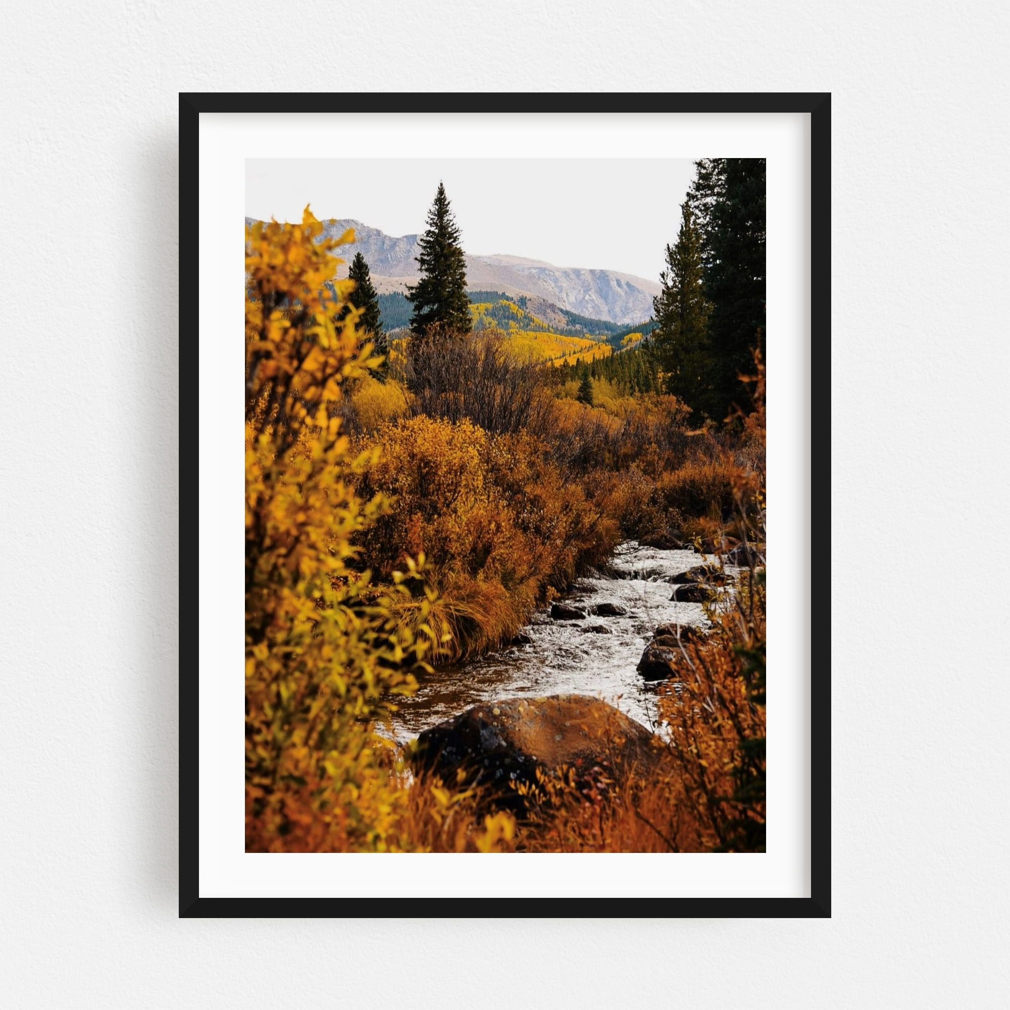 The Abyss Trail Stream II - Grant Colorado Photography Autumn Landscape ...