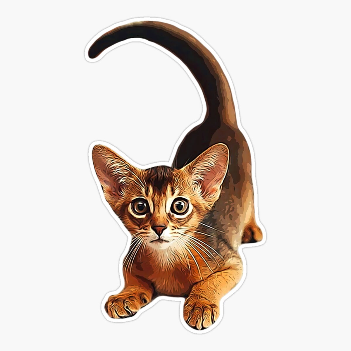 Abyssinian Cat Er, Phone Decal Water Bottle Stickers Car Decals, Funny ...