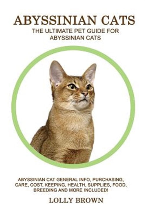 Abyssinian Cats: Abyssinian Cat General Info, Purchasing, Care, Cost ...