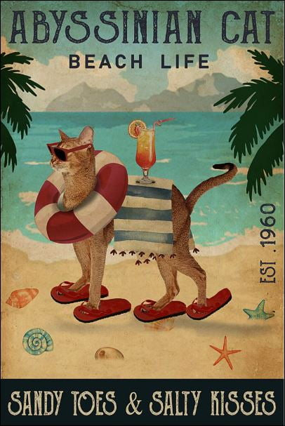 Abyssinian cat beach life sandy toes and salty kisses poster 24 x 36 ...