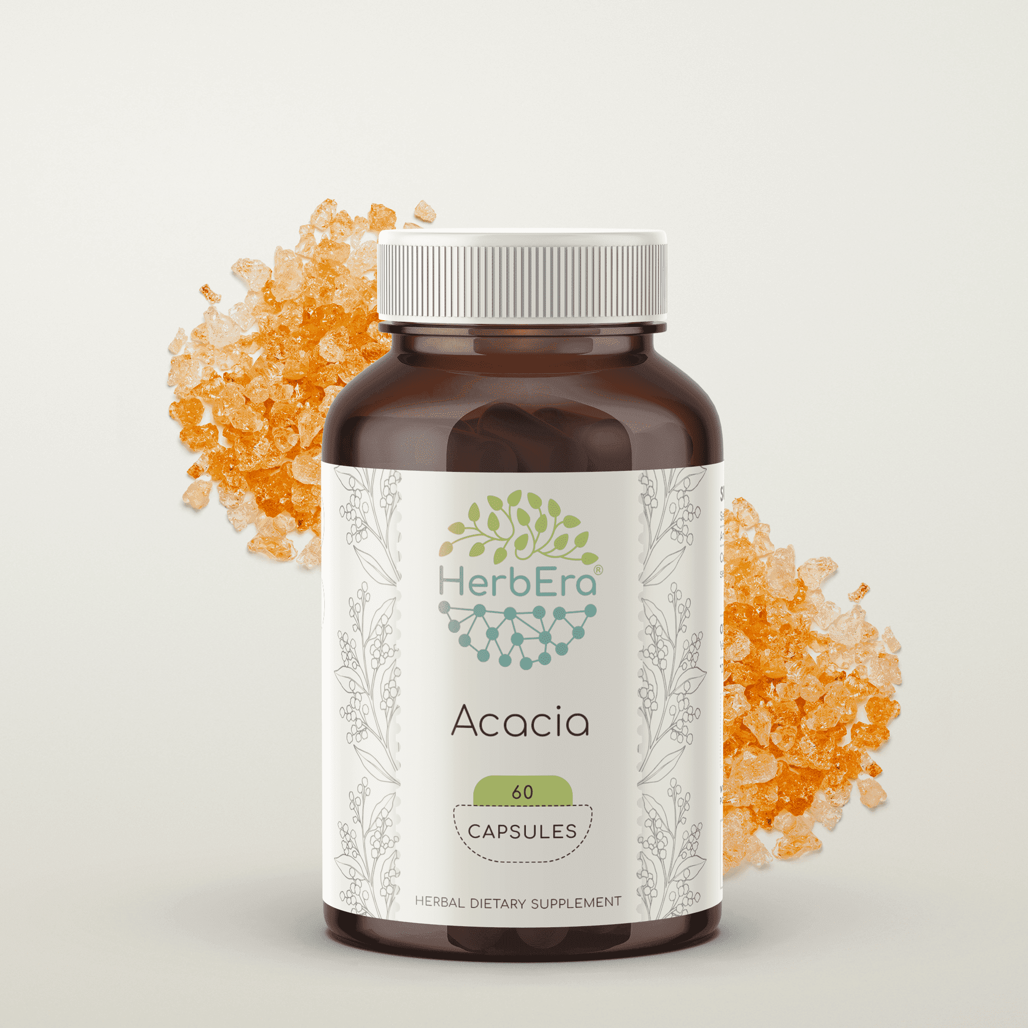 HerbEra Acacia Capsules, Herbal Dietary Supplement for Digestive and ...