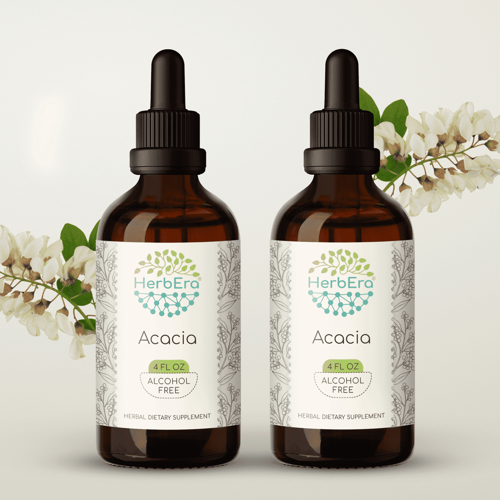 HerbEra Acacia Tincture, Herbal Dietary Supplement for Digestive and ...
