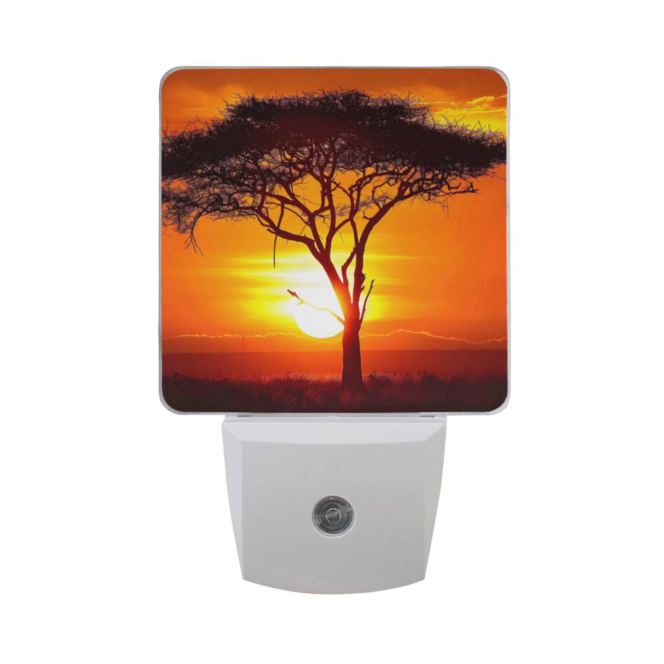 Acacia Tree and Sunset Night Light 2 Pack LED Nightlight Plug into Wall ...