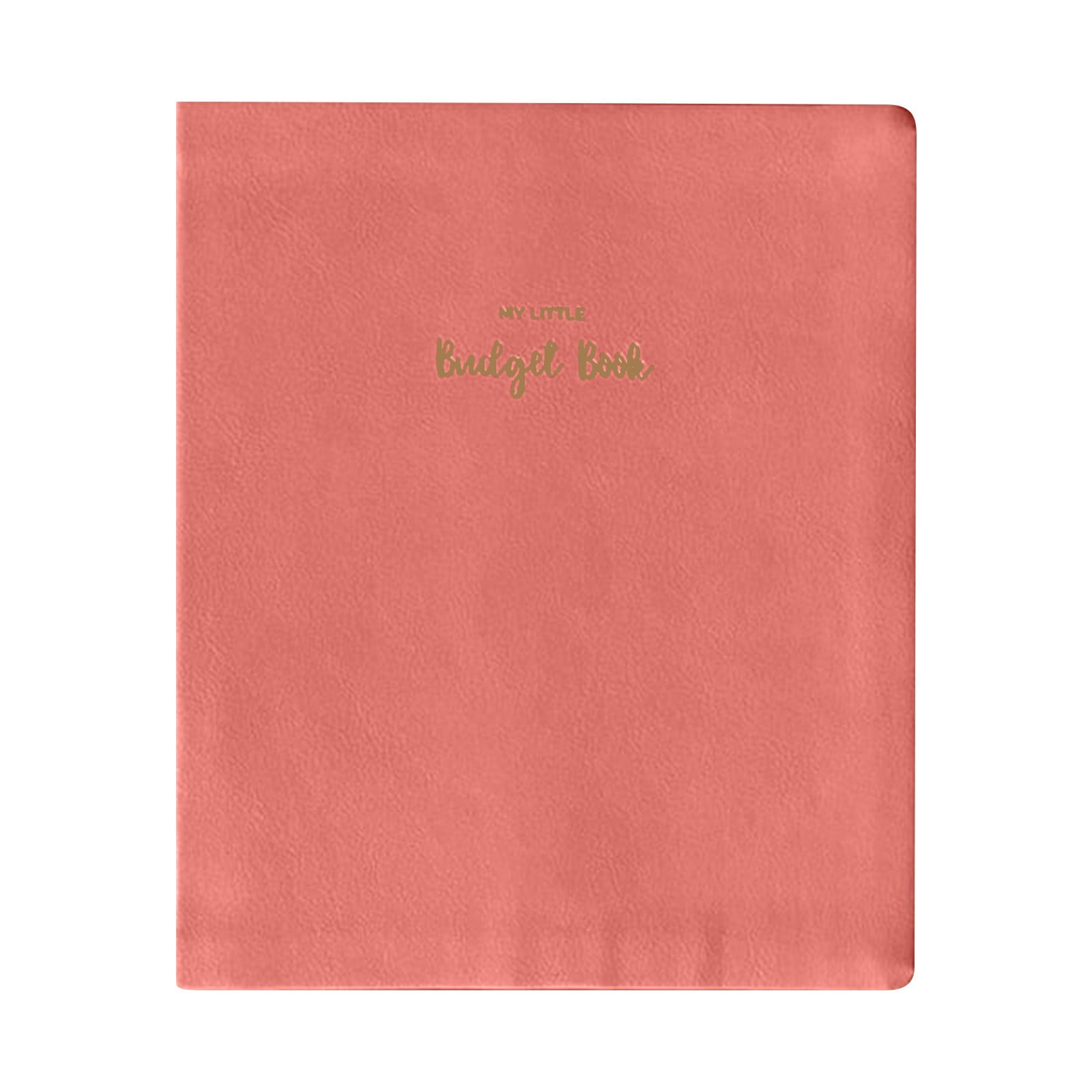 Academic Planner 2025, Tyeign Three Color Planner Ultimate Budget Book ...