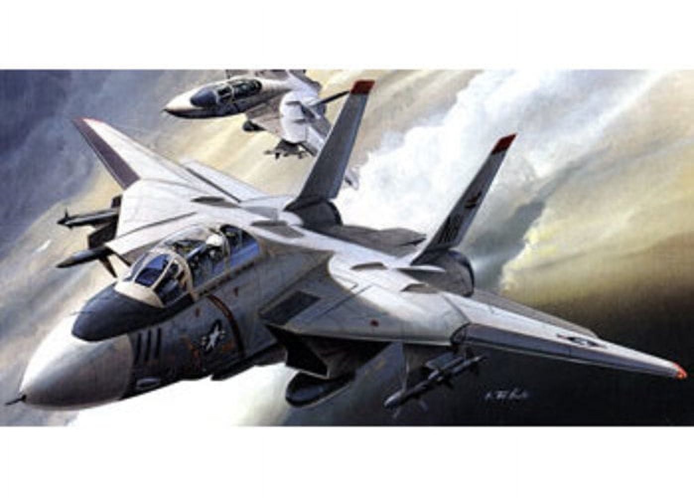 Academy Hobby USN F-14A Tomcat (Modern) New - Walmart.com